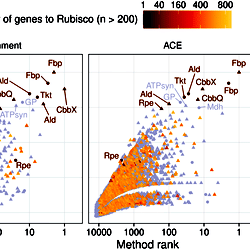Three methods for identifying and ranking the importance of genes ...