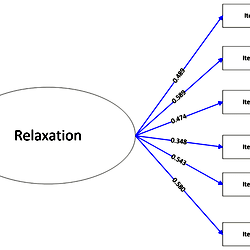 Path map of Relaxation scale.