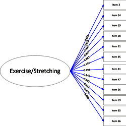 Path map of Exercise/Stretching scale.