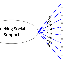 Path map of Seeking social support scale.