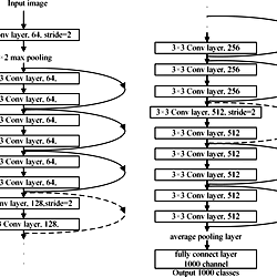 Structural model of ResNet.