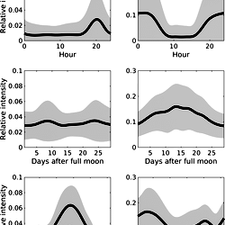 Acoustic phenology of cetacean vocalizations and fish choruses.
