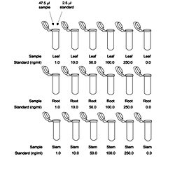 Preparation of samples using standard addition.