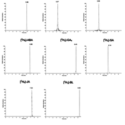 Representative SIM chromatogram of stable isotope-labeled seven ...