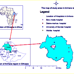 Map of the study area indicating the locations of the four hospitals.