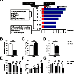 Flow chart of the design and analysis of arterial blood gas changes.