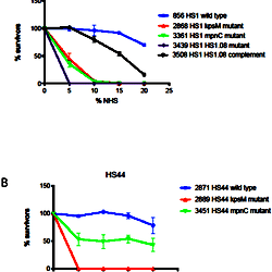 Bacterial sensitivities to complement killing by Normal Human Serum (NHS) serum killing.
