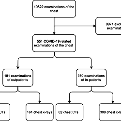 Case selection flow chart.