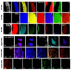 SEM images and EDS elemental maps of the air tubes and wicks from pod ...