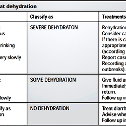 WHO IMAI Algorithm for Dehydration Assessment in Patients with Acute ...