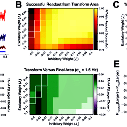 Intermediate layer areas provide accurate readout.
