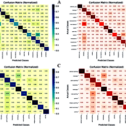 Confusion matrix of the different classification tasks.
