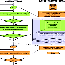 Blind deconvolution estimation: Global approach.