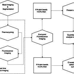 Analysis algorithm for combined digital and real time analysis.