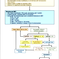 Flowchart of the weaning and extubation protocol for validation cohort.