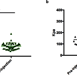 The effect of TAC+5-Fu injection therapy.