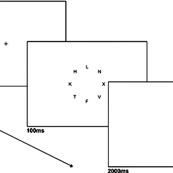 An example trial sequence and timing in visual search task (high load ...