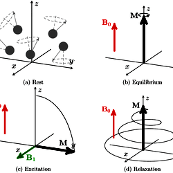 Illustration of the NMR experiment.