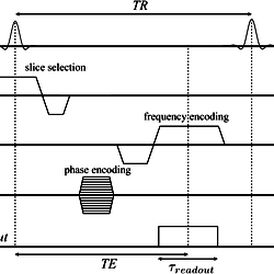 Diagram of a typical gradient echo pulse sequence with frequency and ...