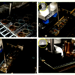 ProMax automated AST assay.