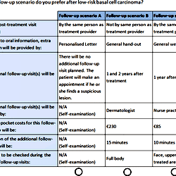 Choice task example of the discrete choice experiment.