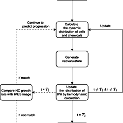 Schematic diagram for simulation algorithms.