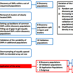 Flow chart of the array redesign process.