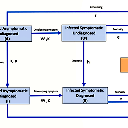 The simulation model structure representing the dynamic interactions of ...