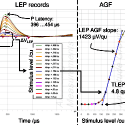 Example of a LEP measurement with clear responses.