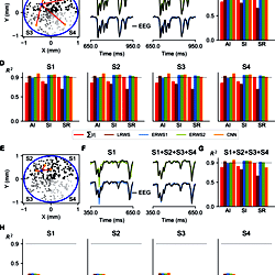 Spatially extended network model.
