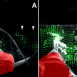 Particle visualization images in both the sagittal and coronal views.