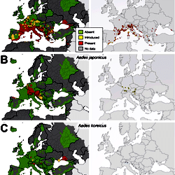 Distribution of invasive Aedes mosquito records in Europe and ...