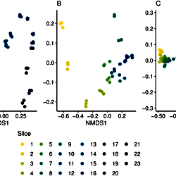 Non-metric multidimensional scaling plot based on Bray Curtis distance ...