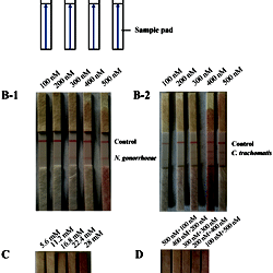 Construction and optimization of LFD detection system.