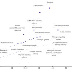 Volcano plot of the most significantly enriched KEGG terms in Network 2 ...