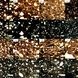 Microphotographs of samples petrographic thin sections.