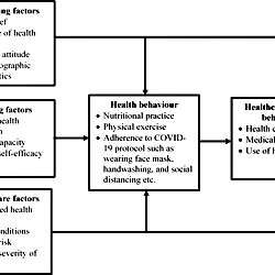 Health service utilization model.