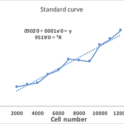 MTT standard curve.