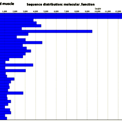 Deep RNA Sequencing of the Skeletal Muscle Transcriptome in Swimming Fish