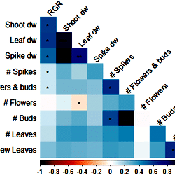 Trait correlation matrix of flowering Phalaenopsis plants in experiment II.