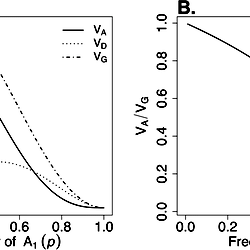 Numerical example for a single locus model with genotypic value a = 4 ...