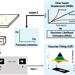 Illustration of the standard approach.