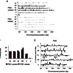 A Polycomb Group Protein Is Retained at Specific Sites on Chromatin in ...