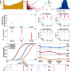 Validation of the ensemble model.
