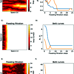 The flooding filtration.