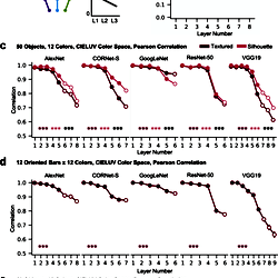 Color space representation across objects within a CNN layer.