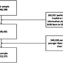 A flow chart of the study sample.