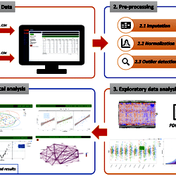 POMAShiny’s workflow.