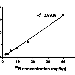 Calibration curves used for LA-ICP-MS analysis of B concentration.