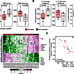 Baseline evaluation of DDE and IL-15 response signature of protection.